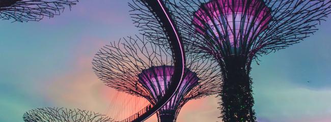 Resources | Future World Vision